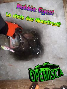 Tout ce que vous devez savoir sur le flétan atlantique - Les Leurres ...